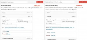 WordPress Multisite: How to Make a Multilingual Website