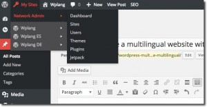 WordPress Multisite: How to Make a Multilingual Website