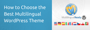 A Guide to Choosing a Multilingual WordPress Theme